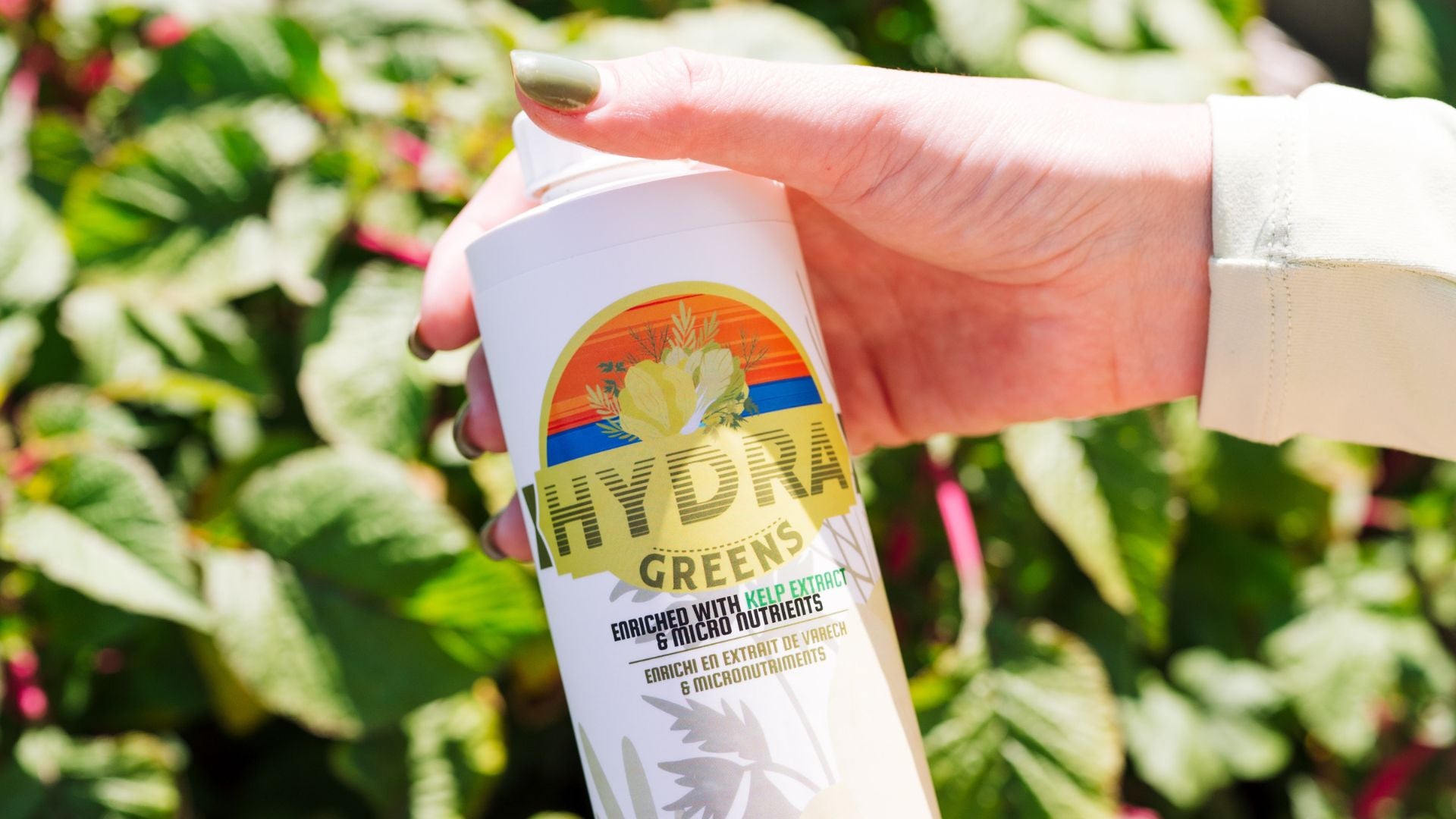 Decoding Fertilizers: A Breakdown of Traditional, Organic, and Hybrid – HydraGarden