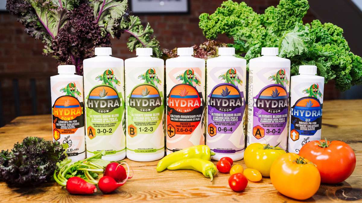 What Is N-P-K? Your Guide to Understanding Fertilizer Ratios – HydraGarden