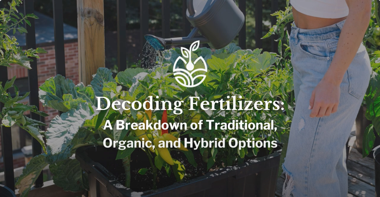 Decoding Plant Fertilizers: A Breakdown of Traditional, Organic, and H ...