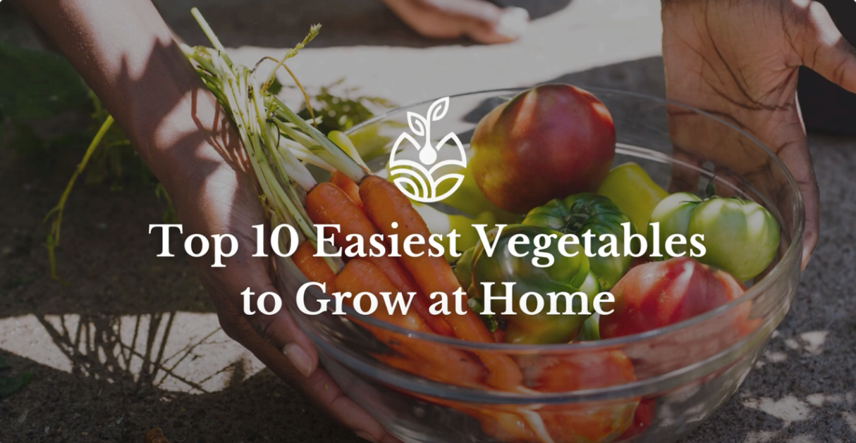 Top 10 Easiest Vegetables to Grow at Home – HydraGarden